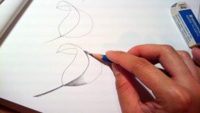 Pencil drawing for beginners tutorials top 15 tips to act now!