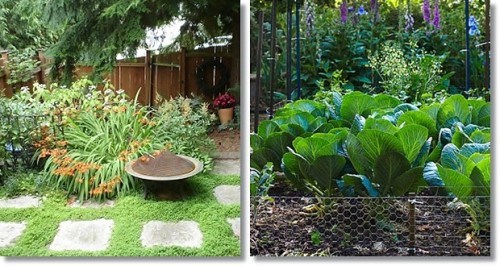 How to plan a garden layout for beginners - VKool