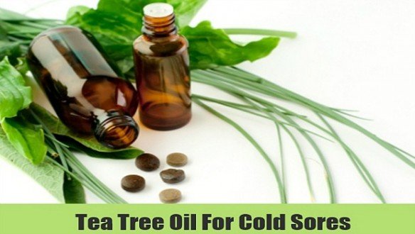 How to use tea tree oil correctly and safely – VKool.com