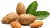 Best nuts for health and nutrition: go nuts for better health