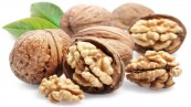 List of foods good for liver health people should know – 15 foods