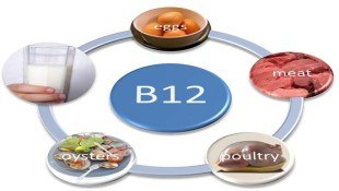 List of foods high in vitamin B complex you should know